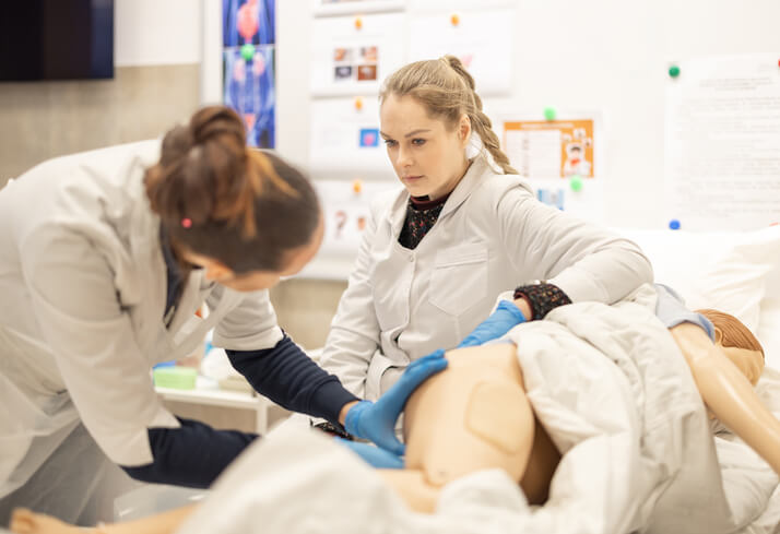 What is a Licensed Practical Nurse (LPN)?